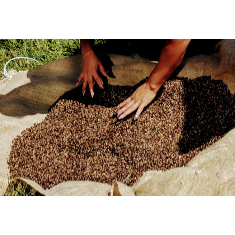 White Lotus Microfiber / Microsuede Bean Bag & Reviews | Wayfair