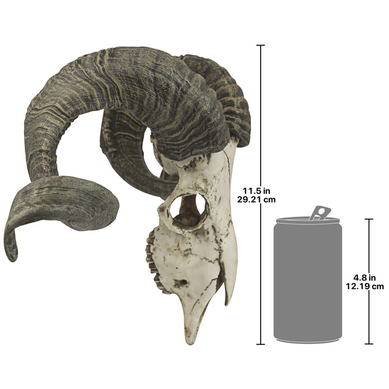 Design Toscano Corsican Ram Skull and Horns Trophy Wall Sculpture ...
