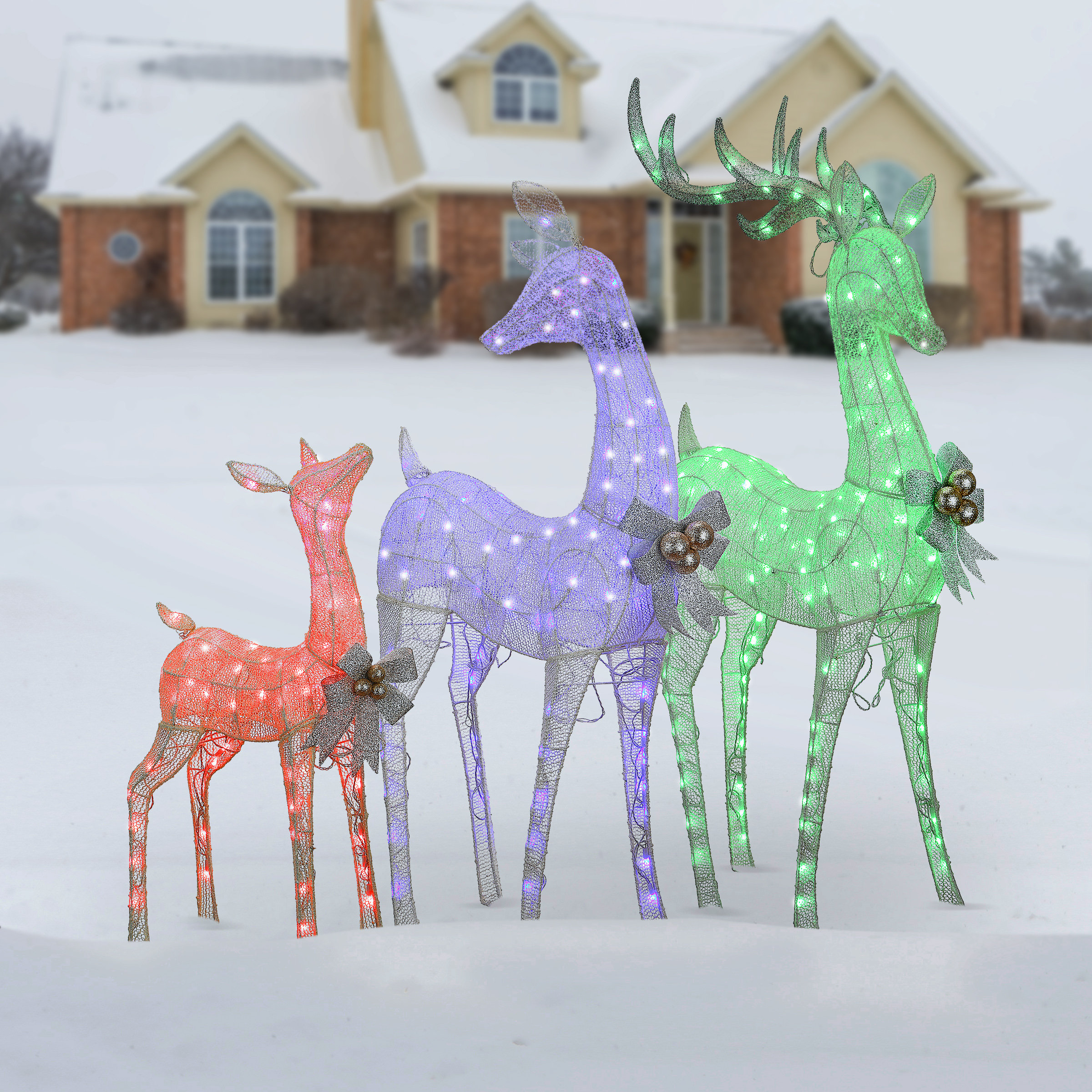 National Tree Company Deer Family Lighted Display & Reviews - Wayfair ...