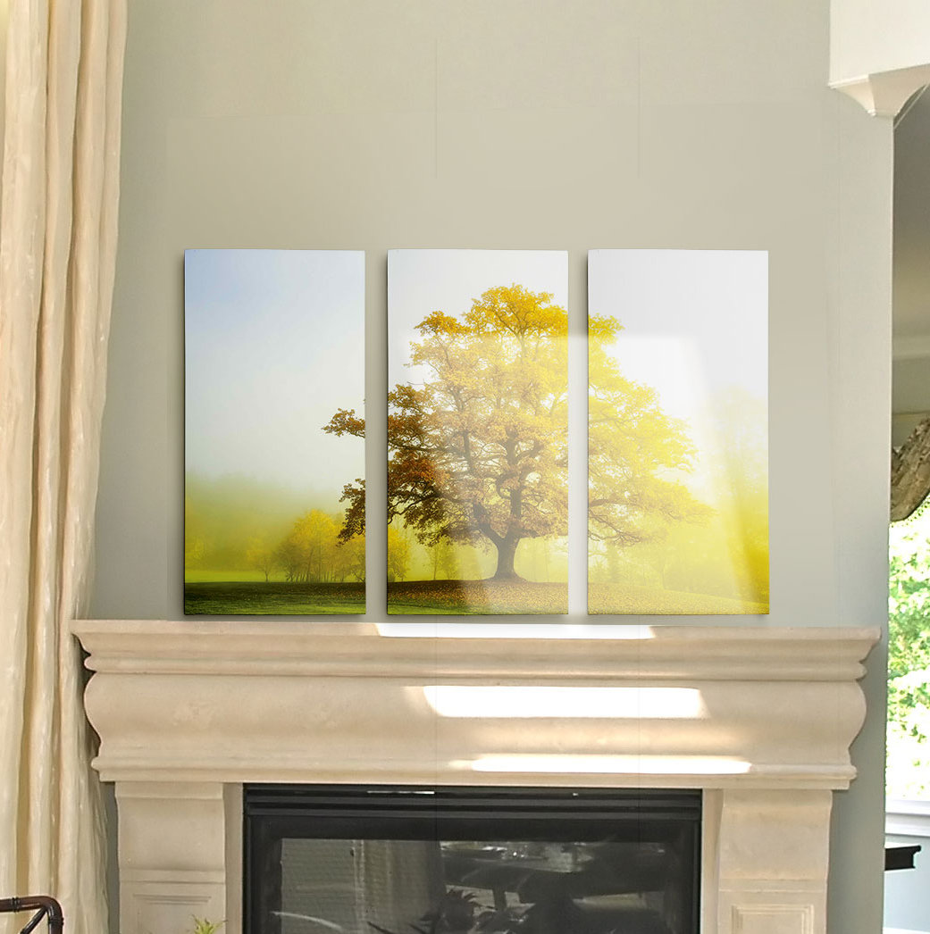 Charlton Home® The Sentinel King - 3 Piece Photograph Print Set on ...