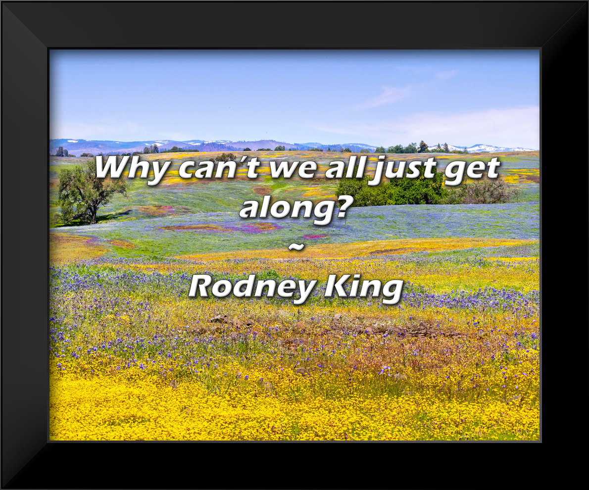Trinx Rodney King Quote: Why can’t we all just get along? | Wayfair