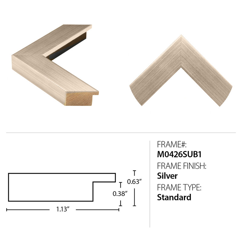 Wendover Art Group American Crow - Picture Frame on Paper | Wayfair