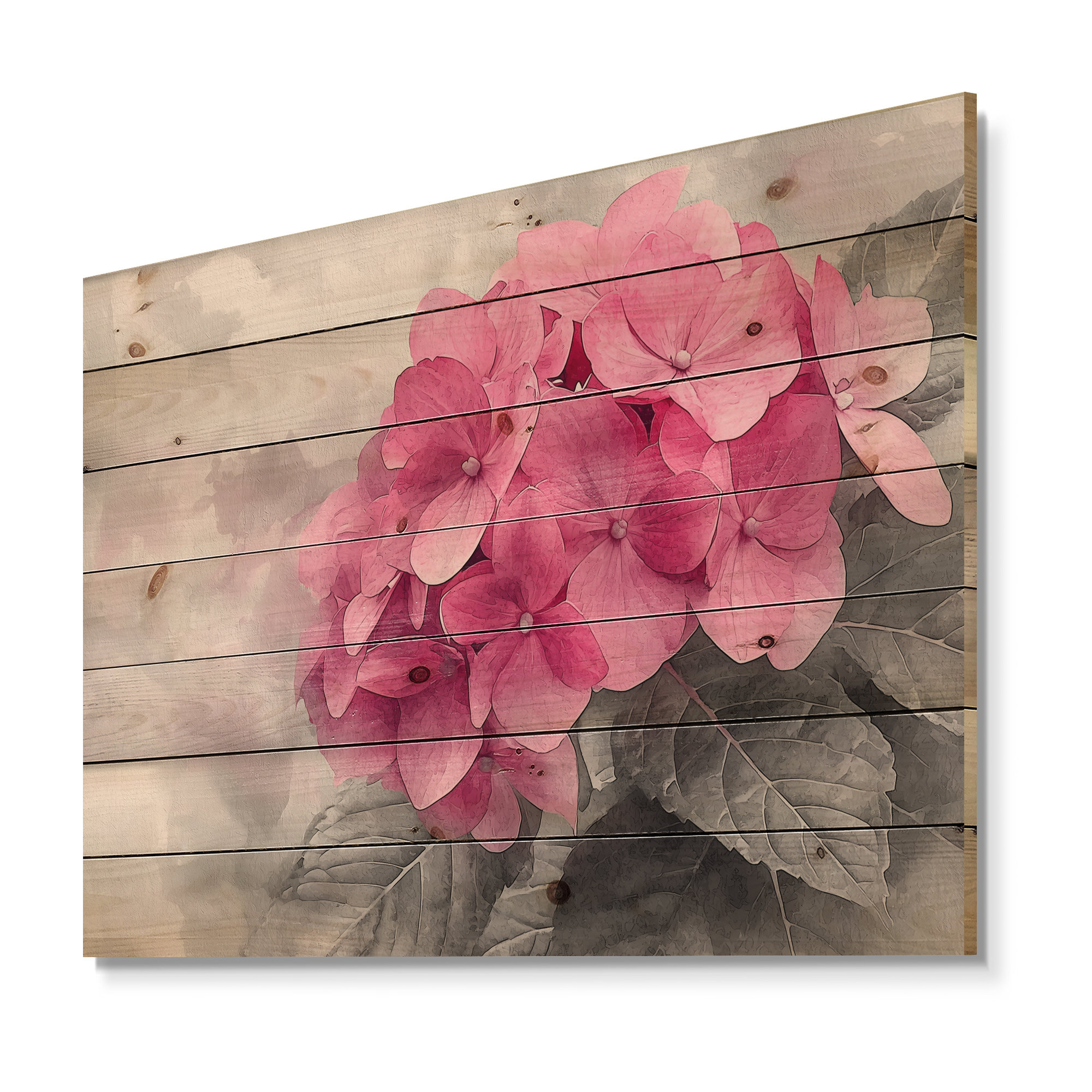 Ophelia & Co. Single Pink Hydrangea In Monochrome Garden I - Hydrangea ...