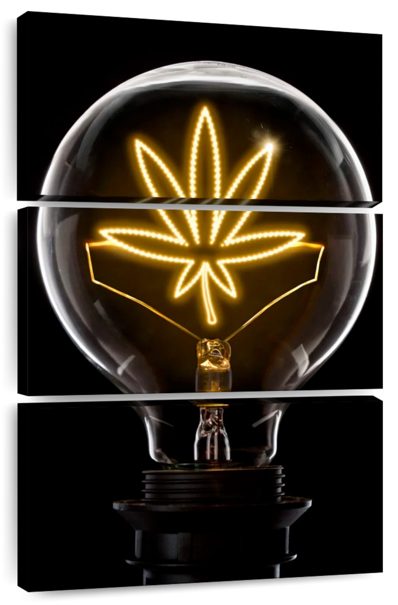 Elephant Stock Marijuana Leaf Lightbulb | Wayfair