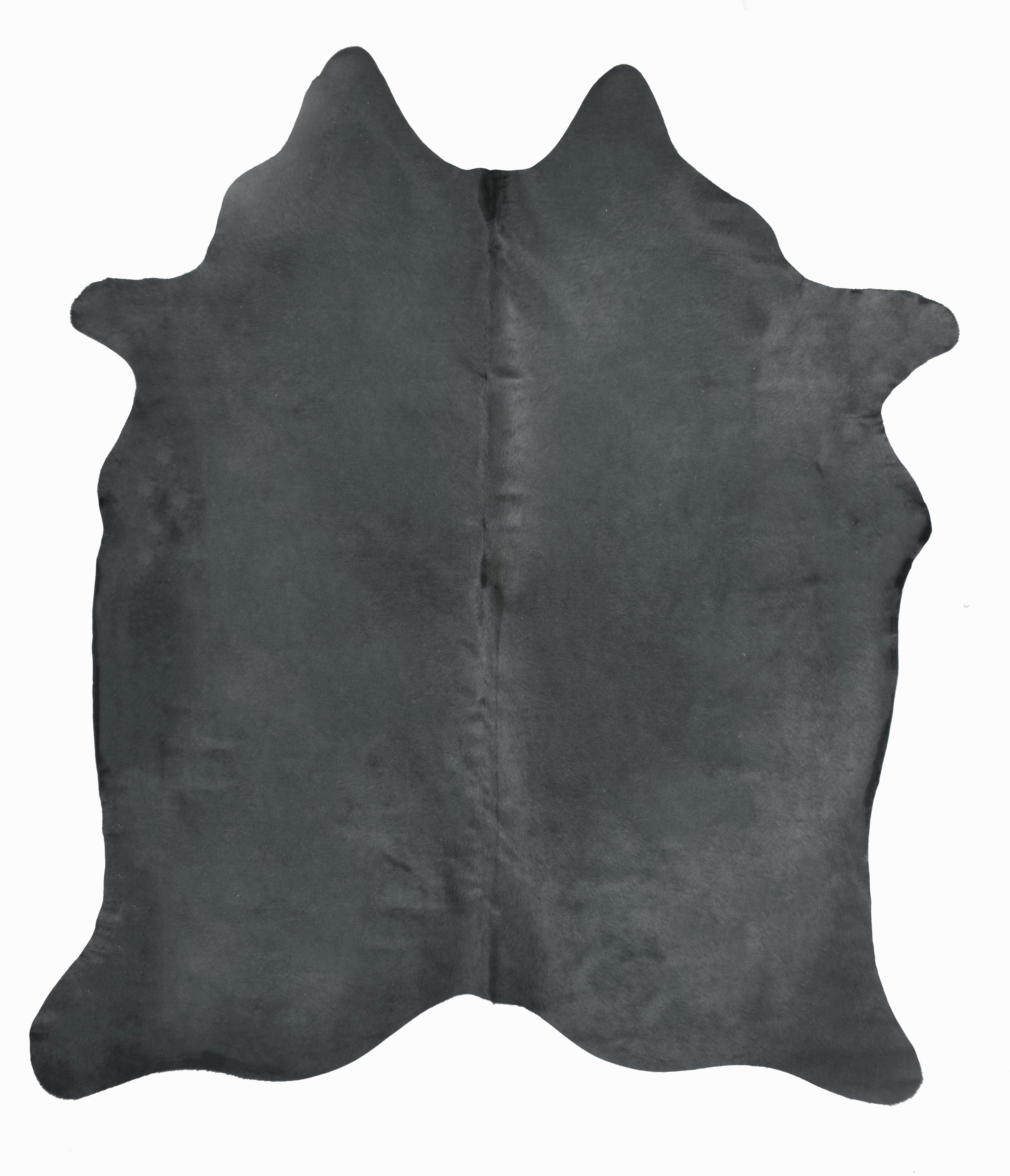 Trophy Room Stuff One-of-a-Kind Handmade Natural Cowhide 5X7 Leather ...