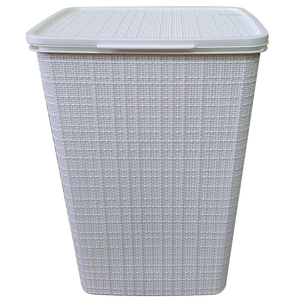 Rebrilliant Plastic Laundry Hamper with Handles - Wayfair Canada