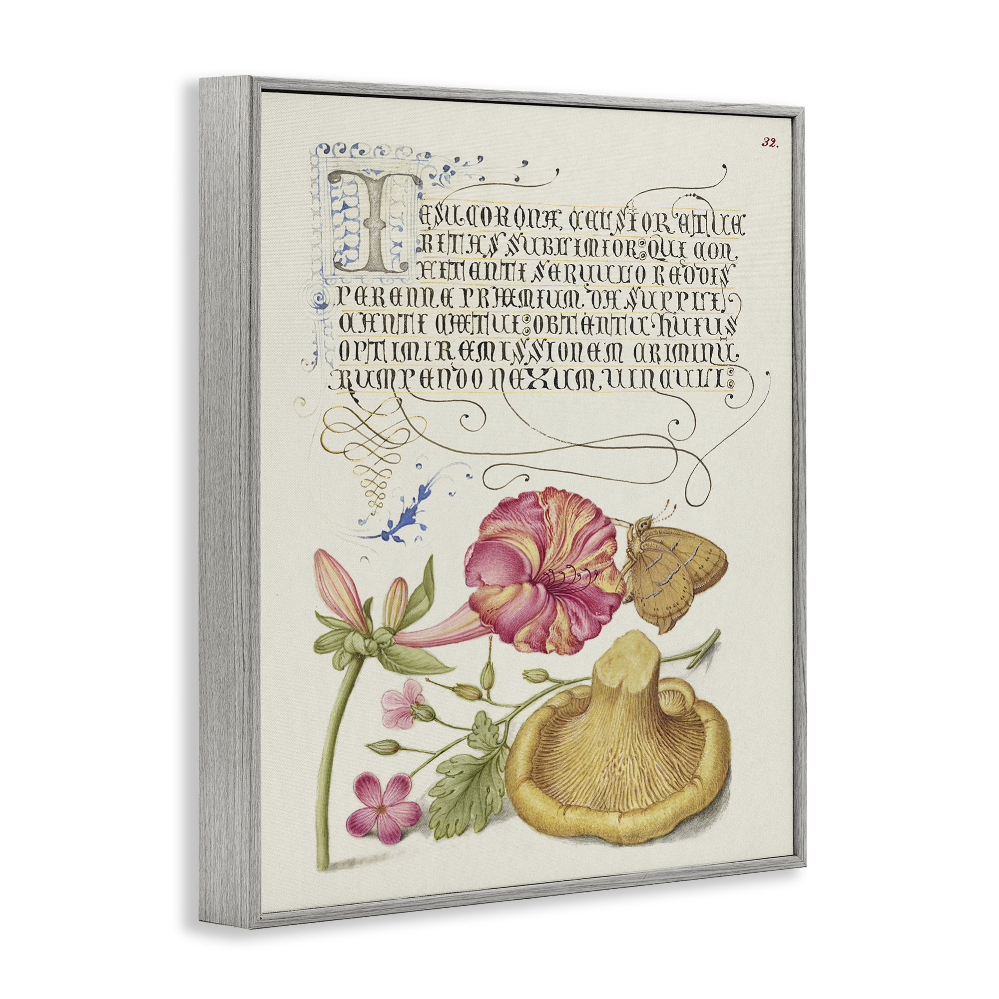 Ebern Designs Woodland Wildlife Study Giclee Art by Grace Popp | Wayfair