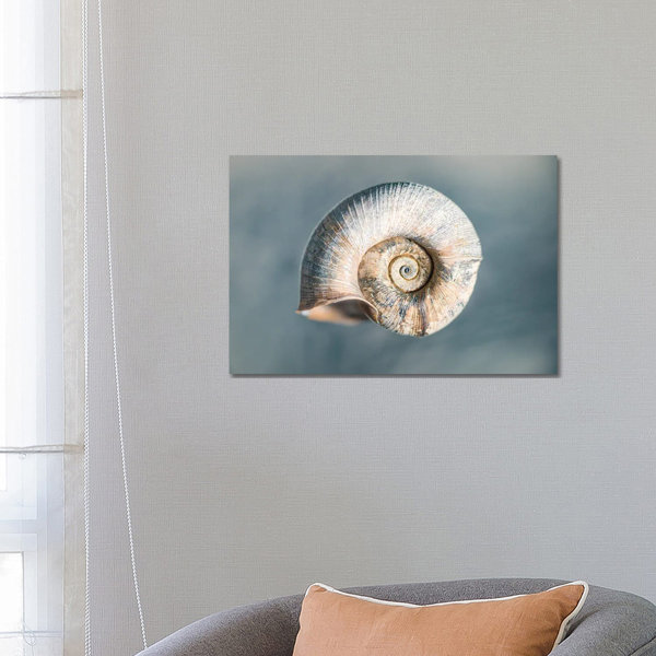 Highland Dunes 100 Years Of Shell Cyan Edition | Wayfair.co.uk