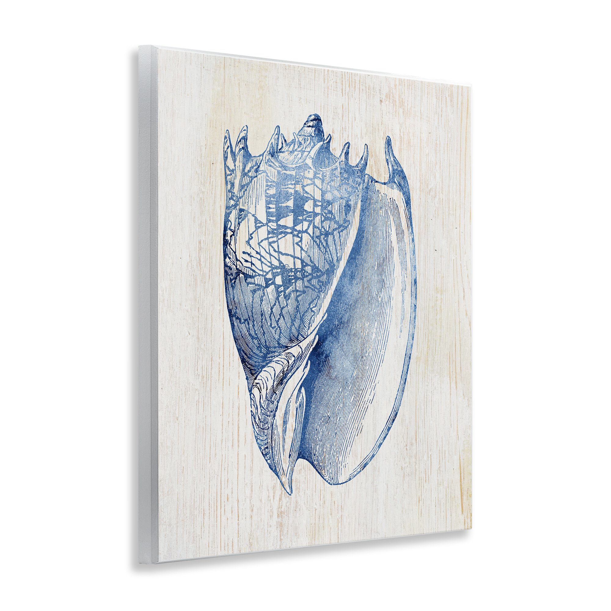 Breakwater Bay Nautical Soft Blue Conch Wall Plaque, design by Susan ...
