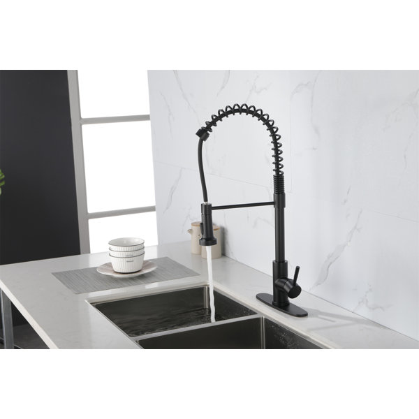 LOONGFIELD Spring Kitchen Faucet With Pull-Out Sprayer, Stainless Steel ...