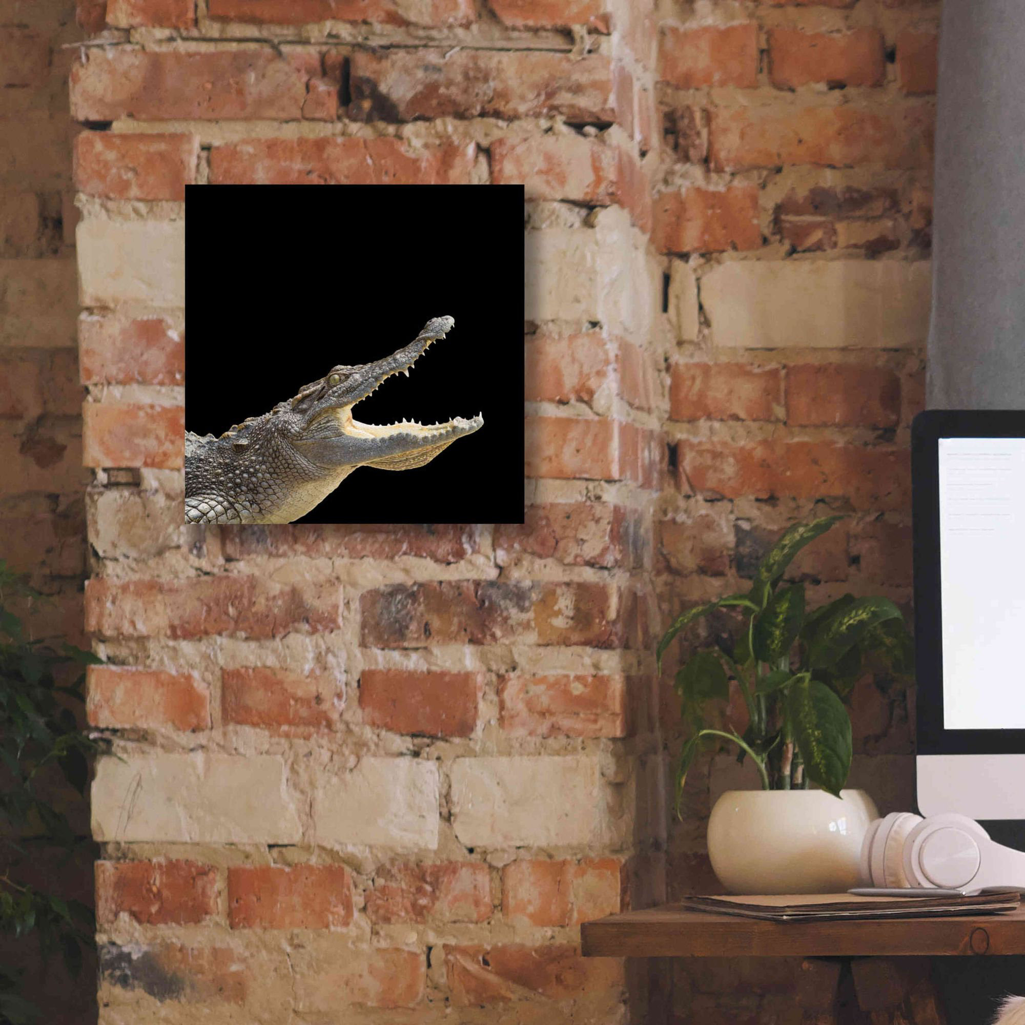 Latitude Run® Gator Games' By Epic Portfolio Giclee Canvas Wall Art ...