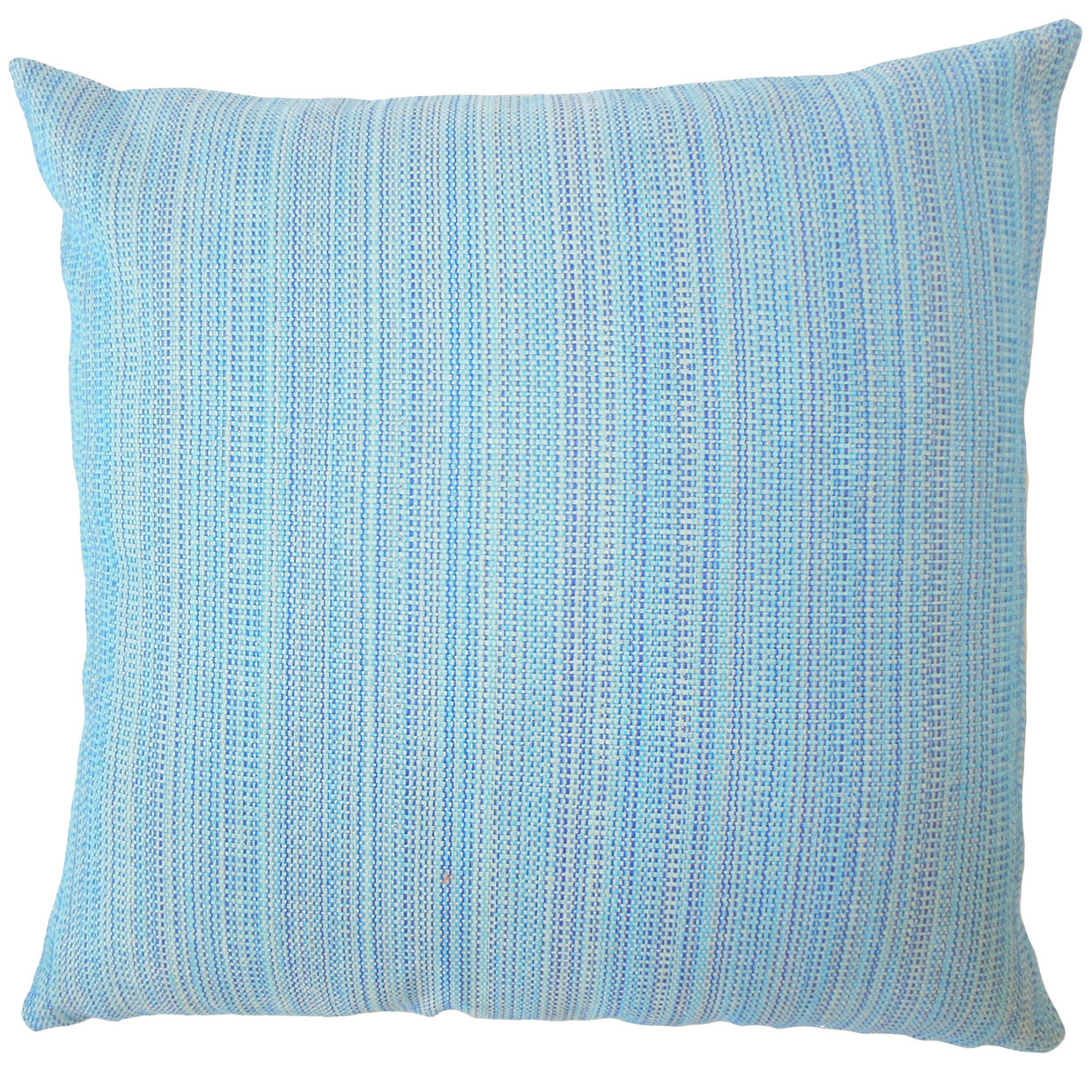 The Pillow Collection Evian Indoor/Outdoor Throw Pillow | Wayfair