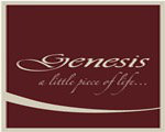 GenesisFineArtsLtd | Wayfair.co.uk