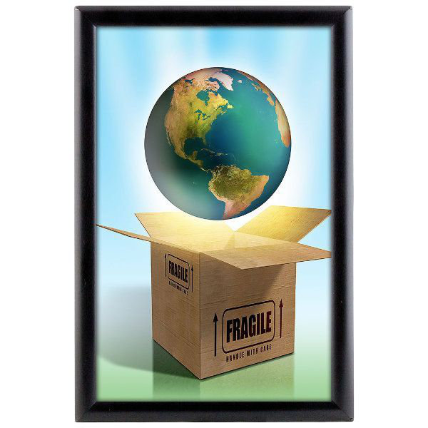 MT Displays Opti Snap Poster Frame | Wayfair
