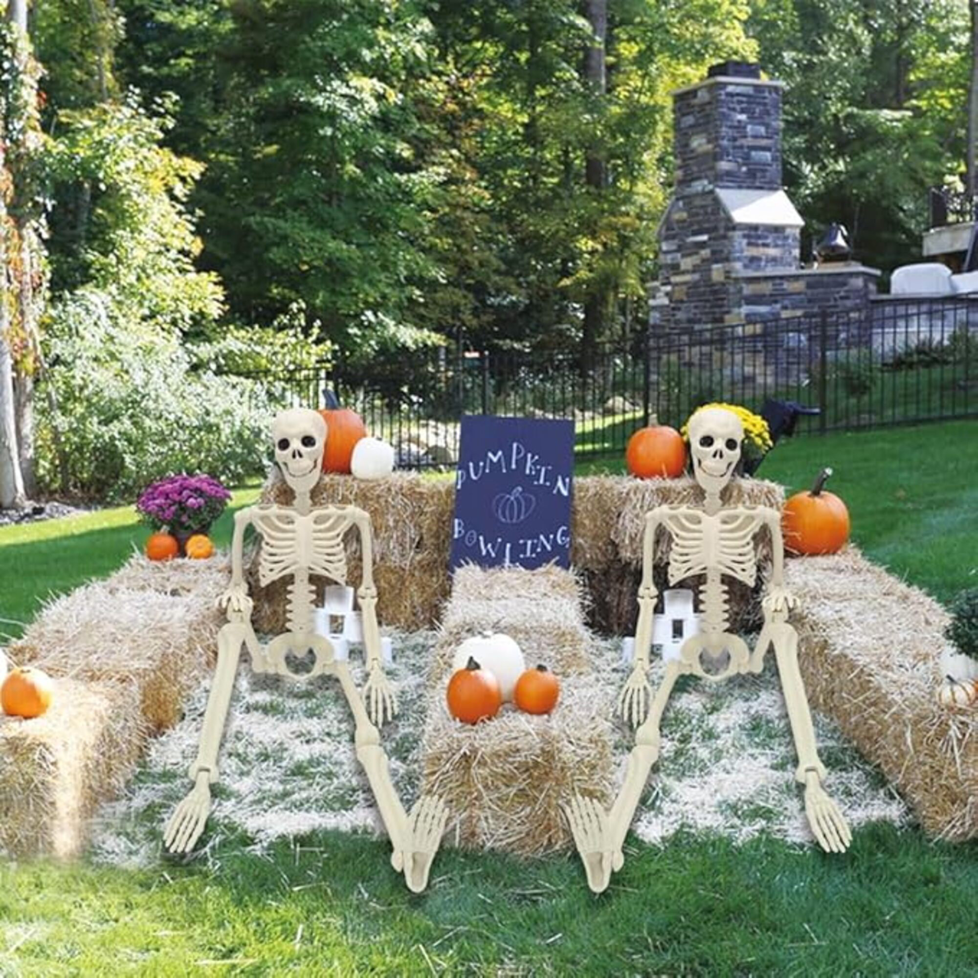 Wrought Studio 2PACK 36" Posable Skeleton Halloween Decorations, 3FT ...