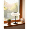 Latitude Run® Rechargeable Cordless Table Lamp With Solar Power ...