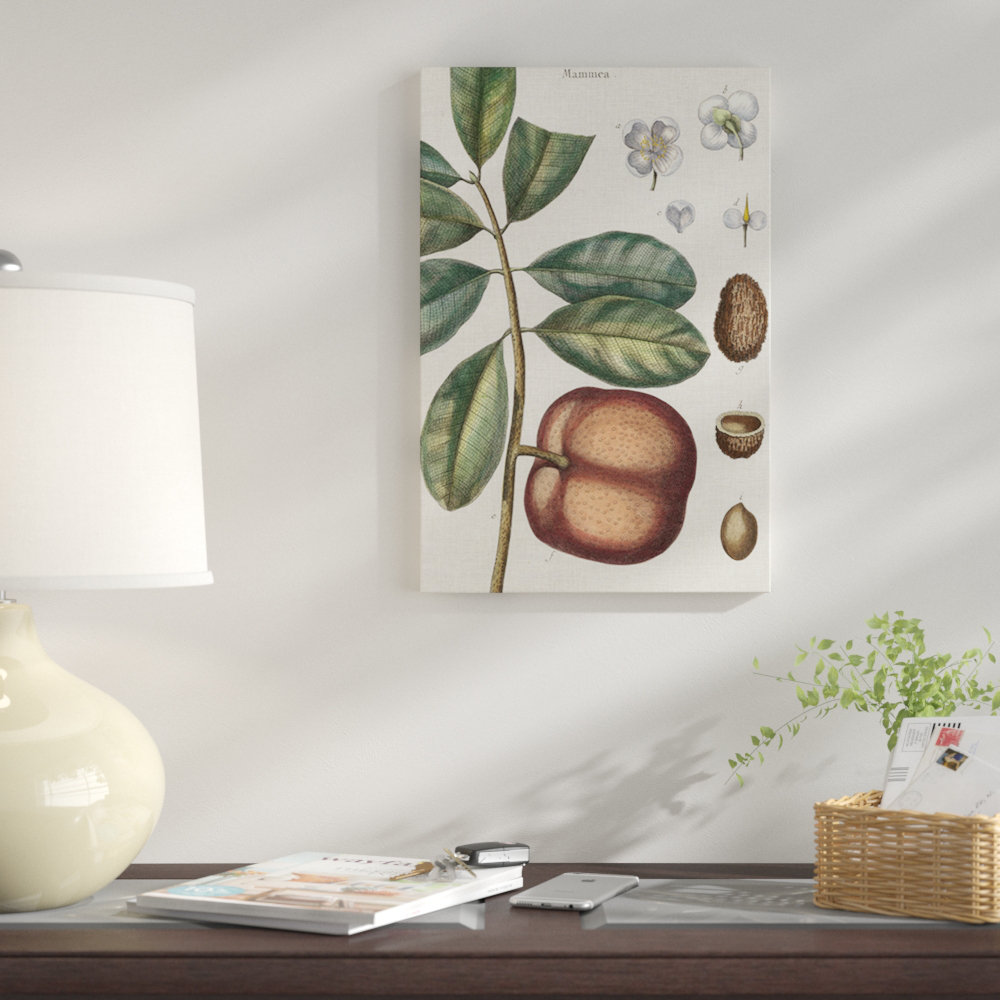 East Urban Home 'Exotic Botanique IV' Graphic Art Print on Wrapped ...