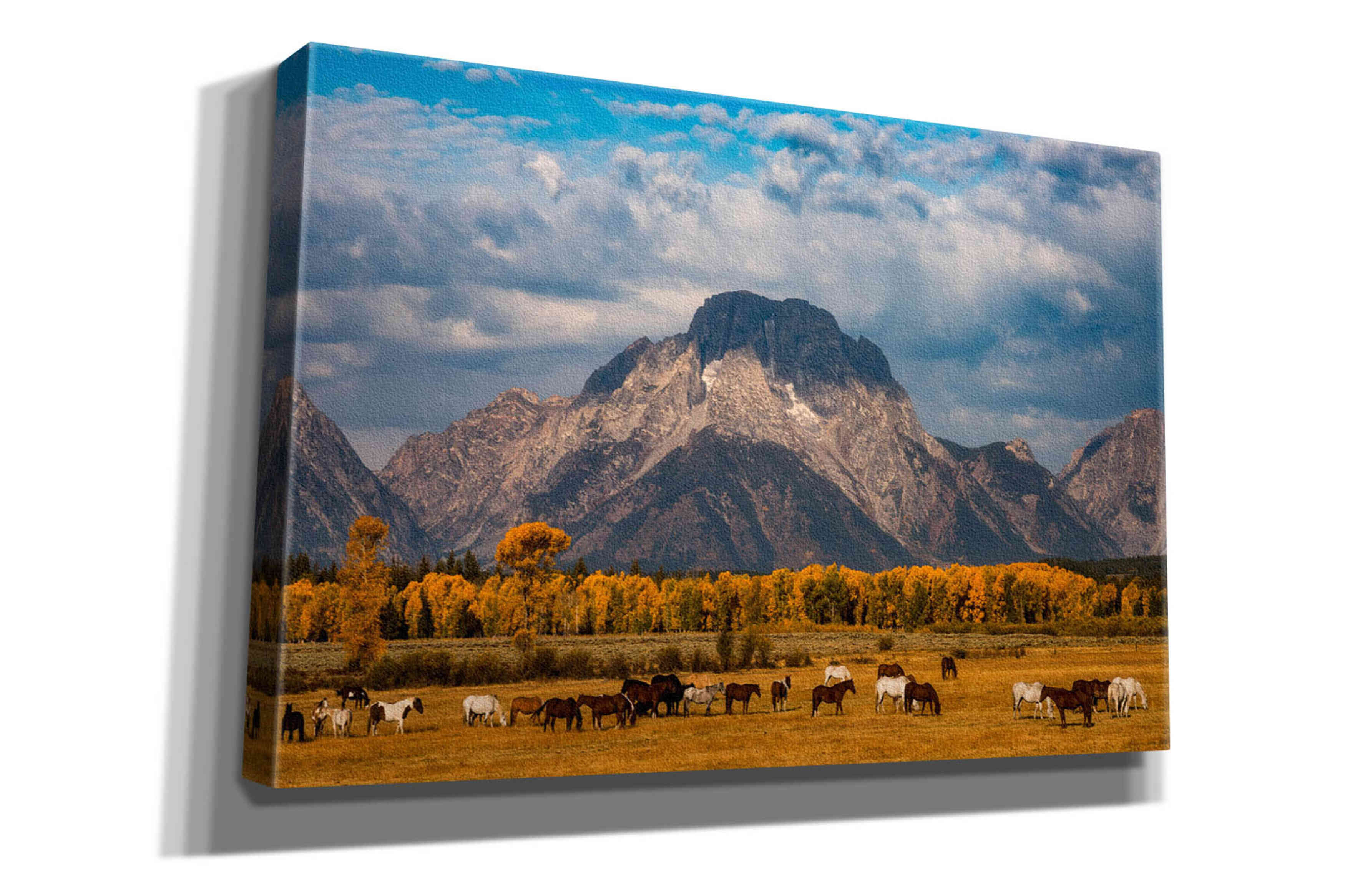 Union Rustic Teton Horse Ranch Grand Teton National Park by Darren ...