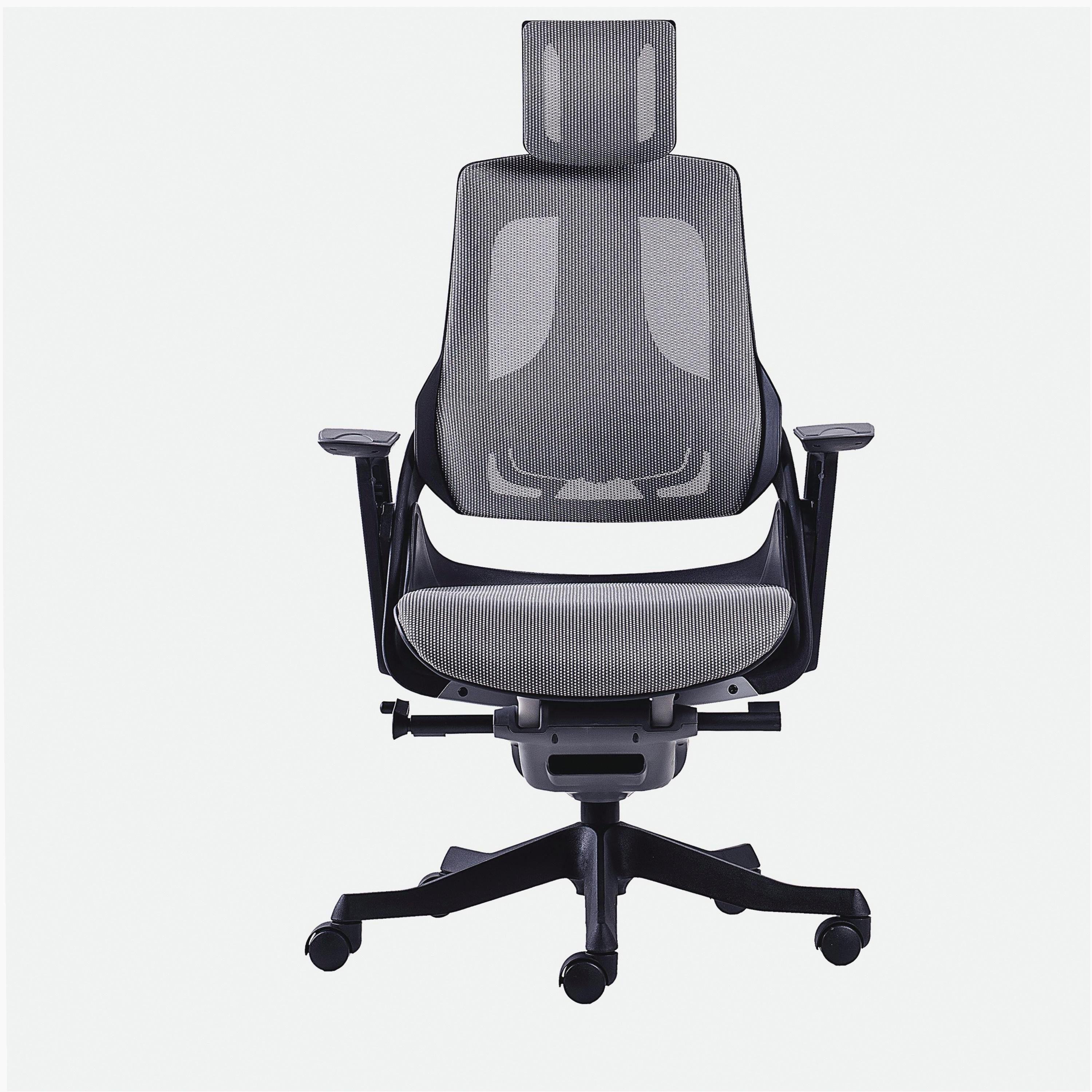 Hokku Designs Mobili LUX Ergonomic Executive Chair, Grey | Wayfair