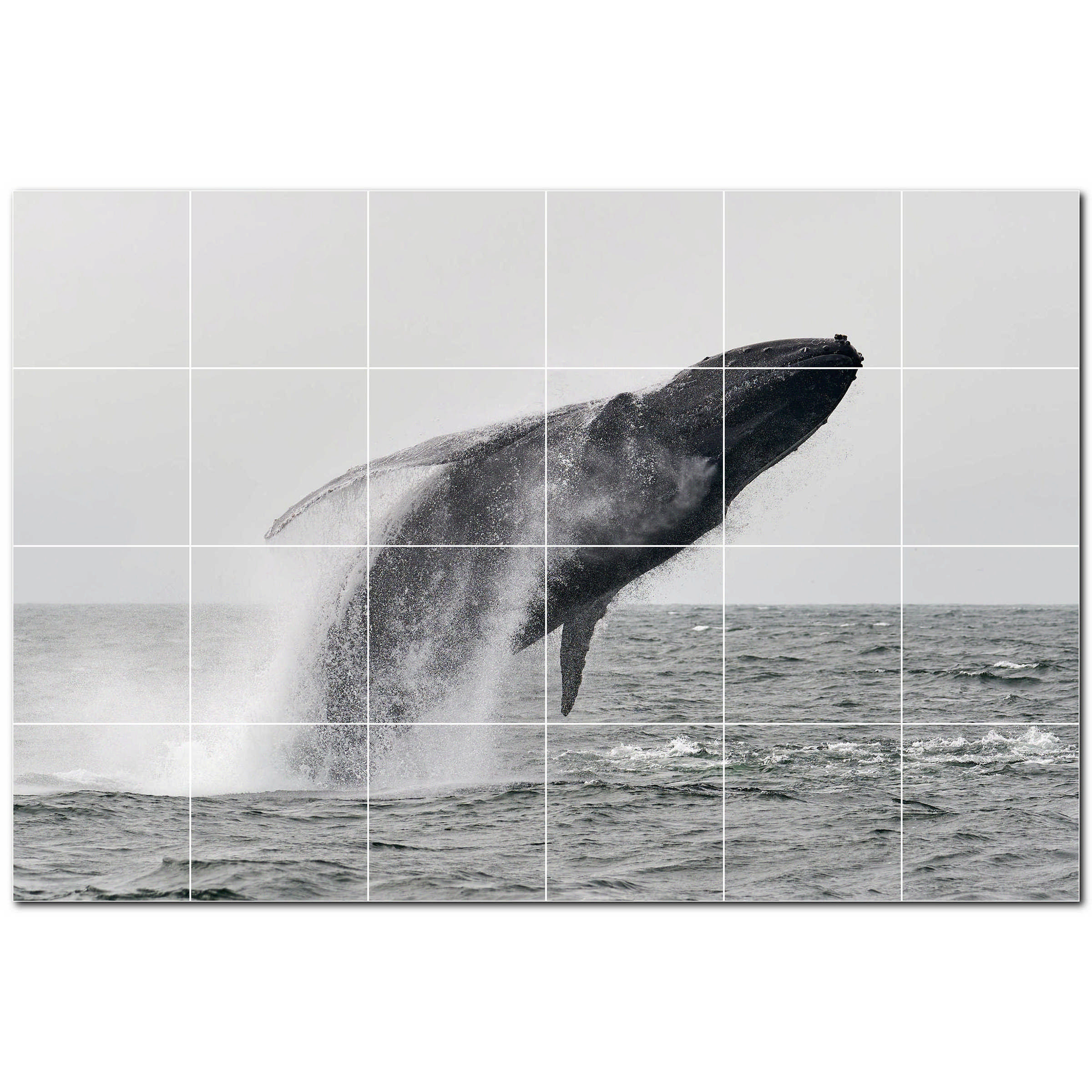 Picture-Tiles.com 72" x 48" Ceramic Whale Photo Decorative Mural Tile ...