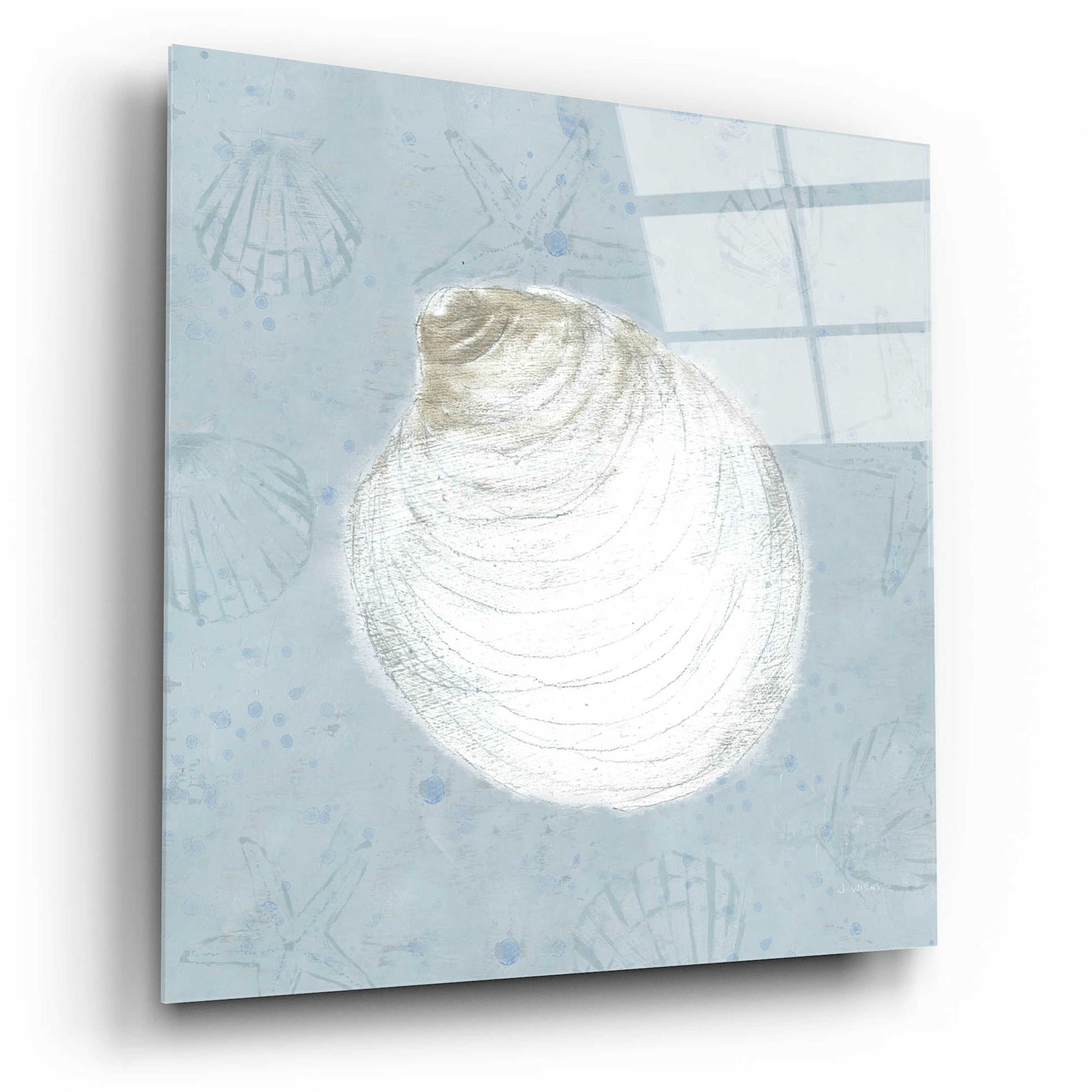 Dovecove 'Serene Shells II' By James Wiens, Acrylic Glass Wall Art ...