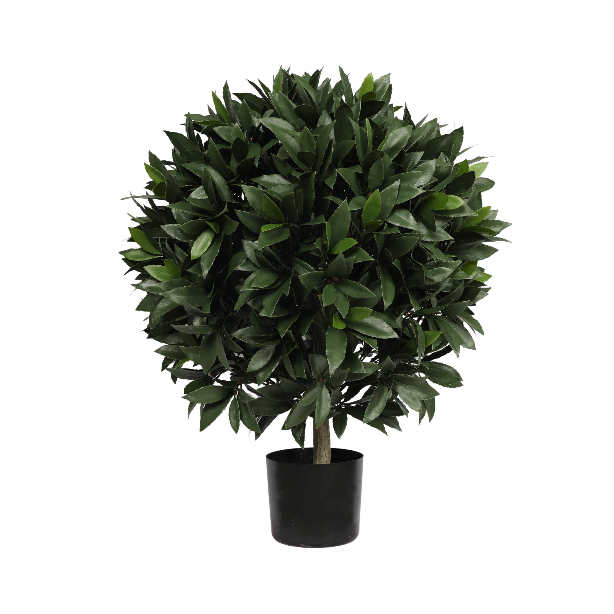 Wildon Home® UV Bay Laurel Ball Topiary - 34 Inch | Wayfair