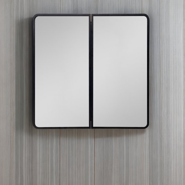 Latitude Run® Tiearra 32 W 32 H Medicine Cabinet Mirror | Wayfair