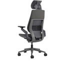 Steelcase Gesture With Headrest | Perigold