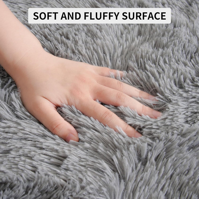 Mercer41 Soft Fluffy Rugs for Living Room | Wayfair