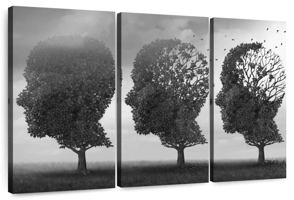 Ebern Designs Alcaraz Memory Loss Trees | Wayfair