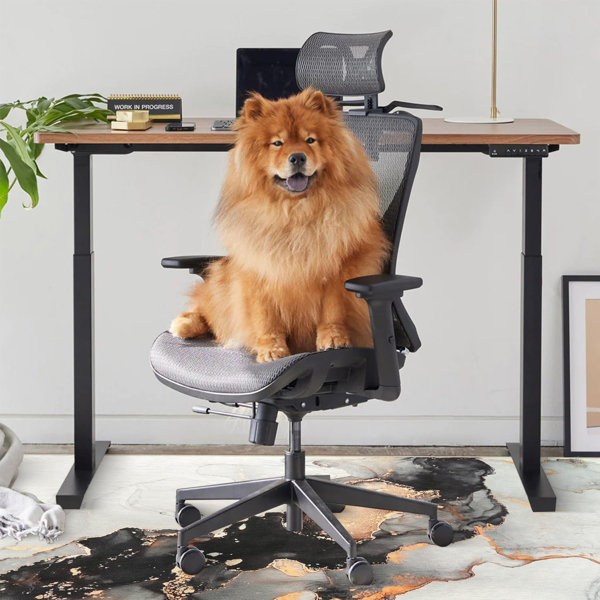 BESTQII 48"x60" Hard Floor & Low-Pile Carpet Chair Mat - Office Desk ...