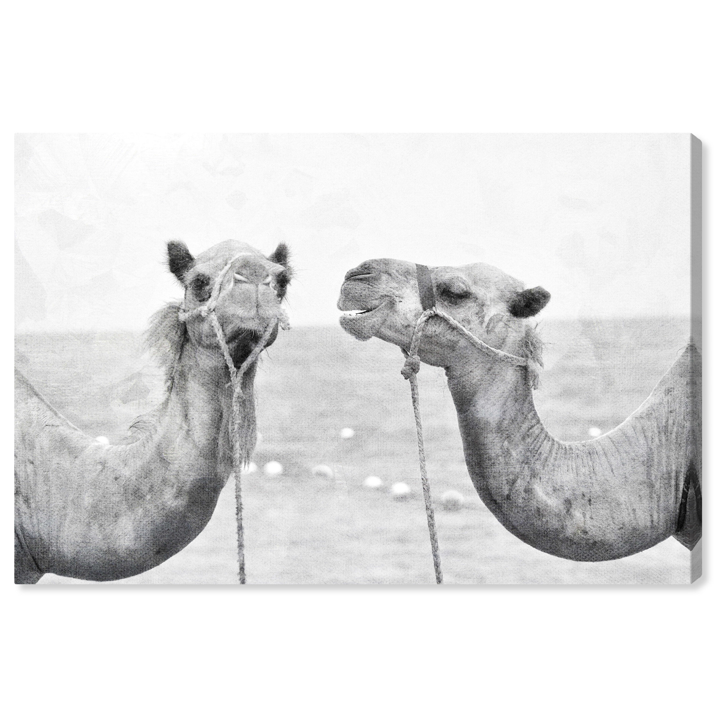 Union Rustic 'Animals Camel Best Friends Desert Landscapes' Framed ...