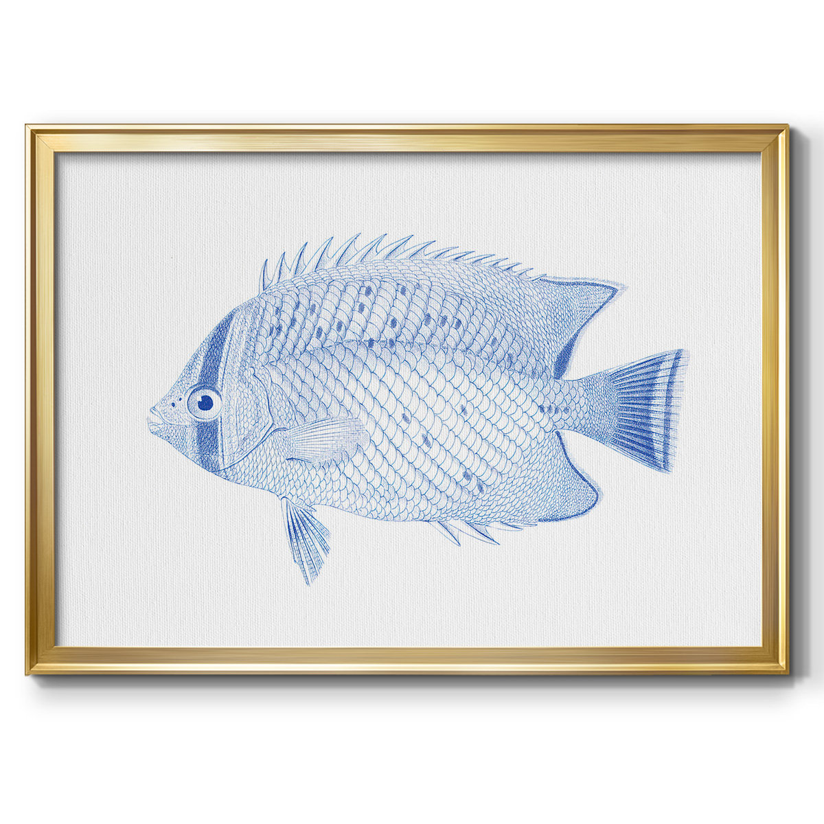 Highland Dunes Blue And White Tropical Fish III Framed On Canvas Print ...
