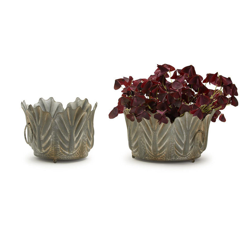 August Grove® Set Of 2 Zinc Garden Leaf Planter | Birch Lane