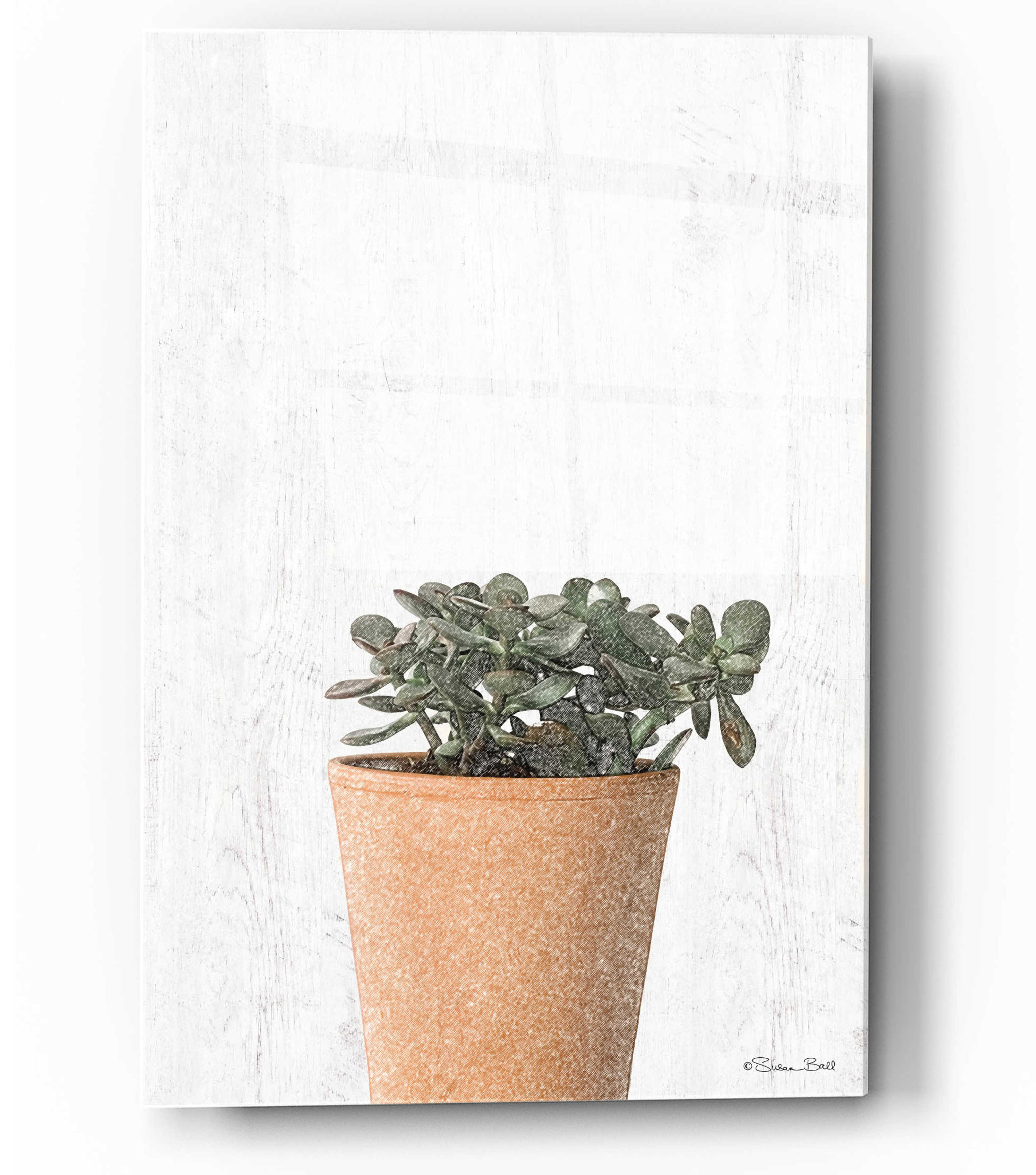 Red Barrel Studio Epic Art 'Succulents III' By Susan Ball, Acrylic G ...