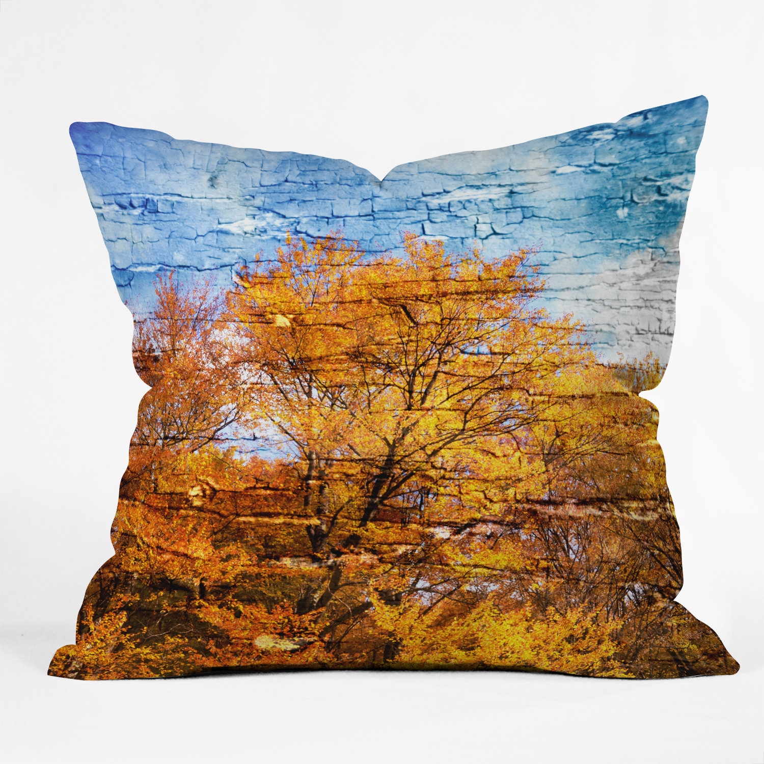 Deny Designs An Autumn Day Throw Pillow | Wayfair