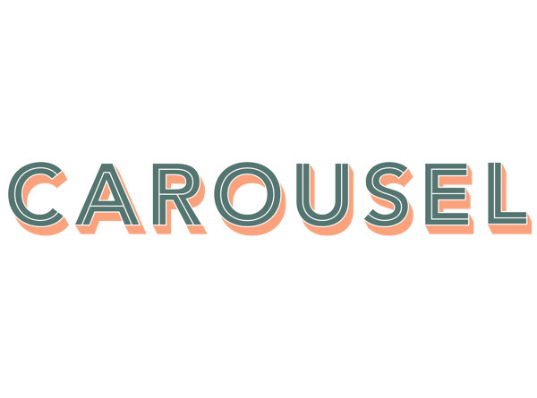 Carousel Home | Wayfair.co.uk
