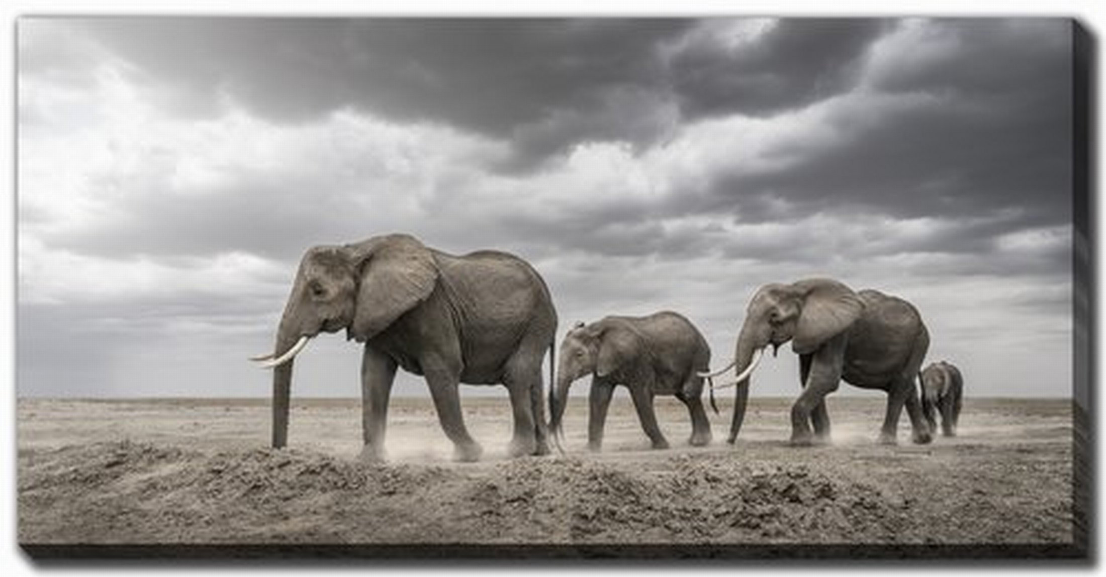 Ebern Designs Gentle Giants Canvas Art | Wayfair