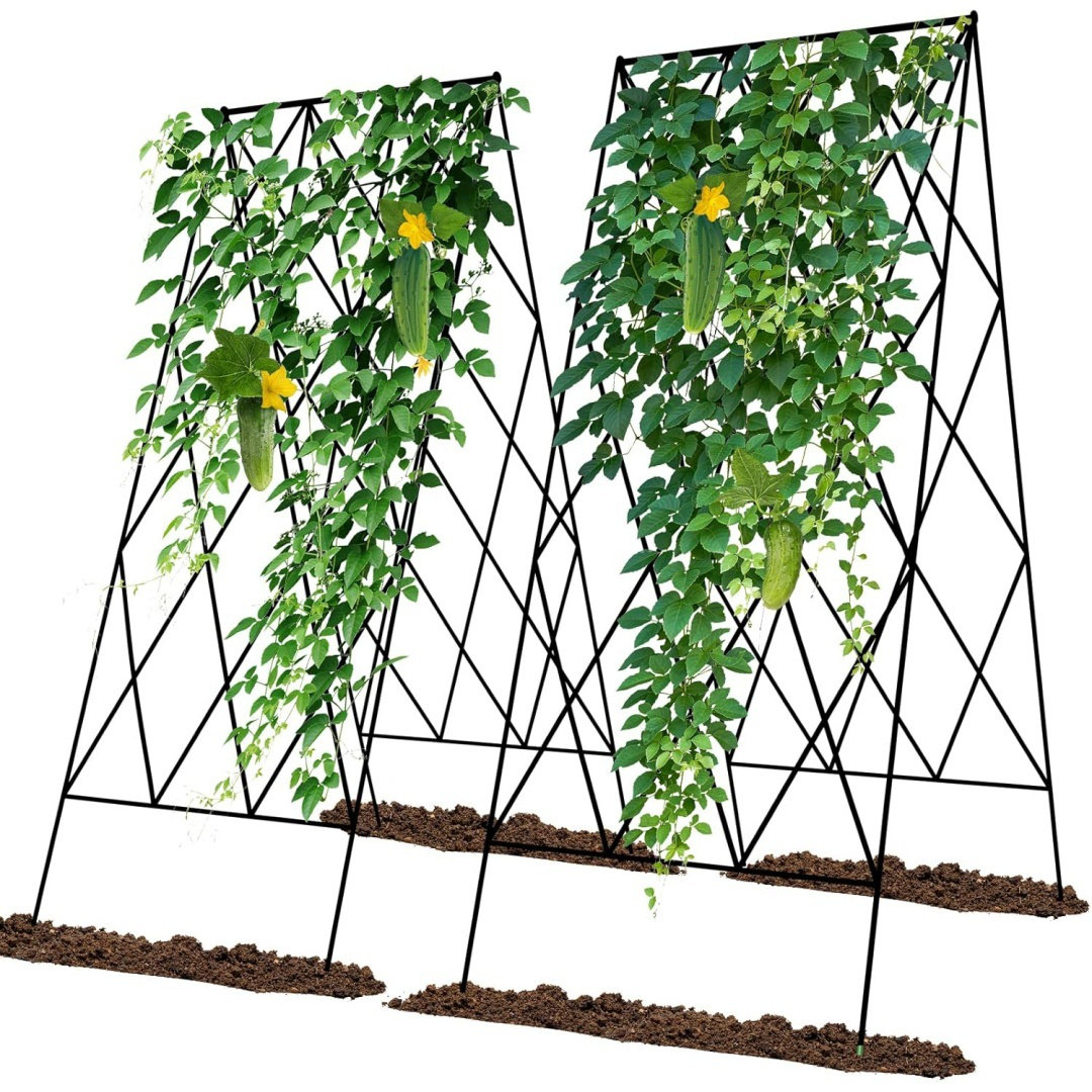 Arlmont & Co. Cucumber Trellis 2 Pack, Foldable A-Frame Garden Trellis ...