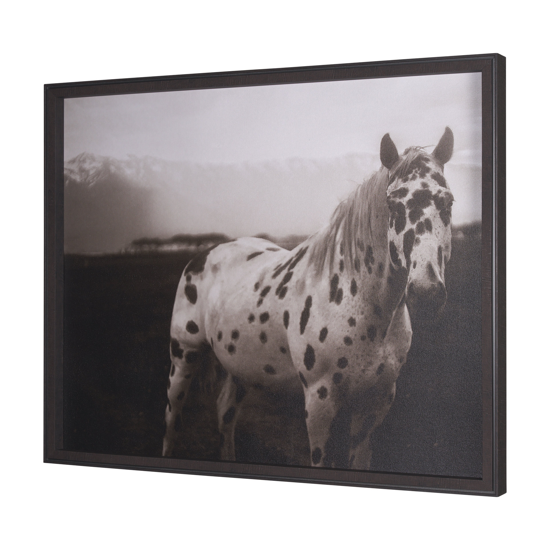 Foundry Select Spotted Solo Horse by Nathan Kane a Hand Embelished Textured Framed Art Print ...