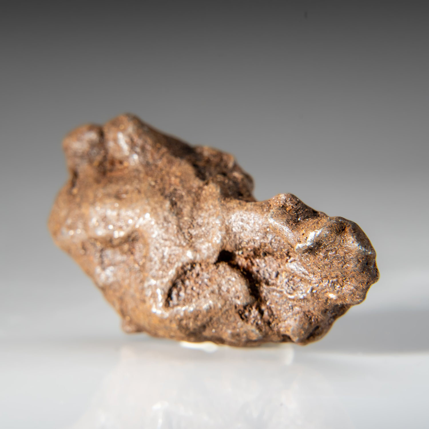Astro Gallery of Gems Genuine Gebel Kamil Meteorite from Egypt (46.5 ...