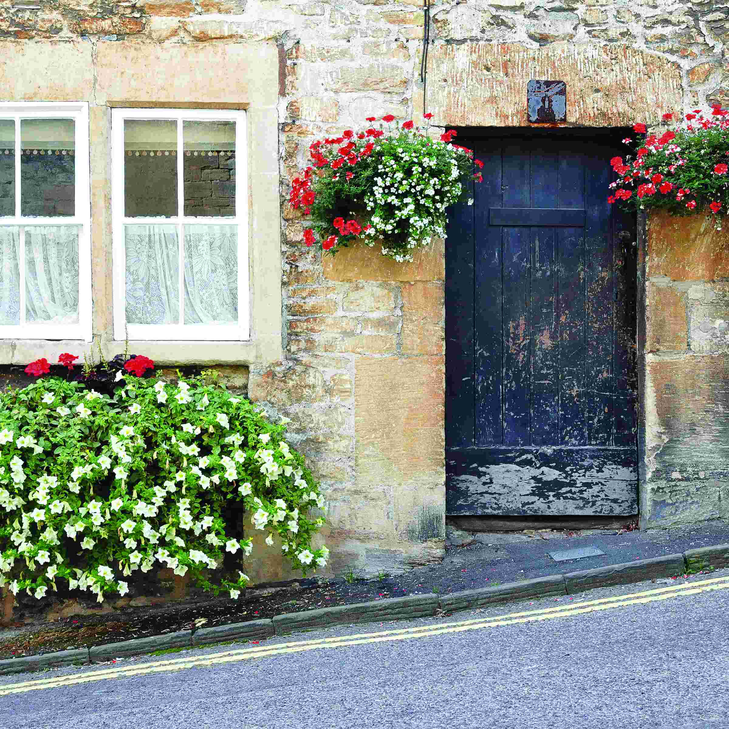 Winston Porter Red Poppy Door | Wayfair