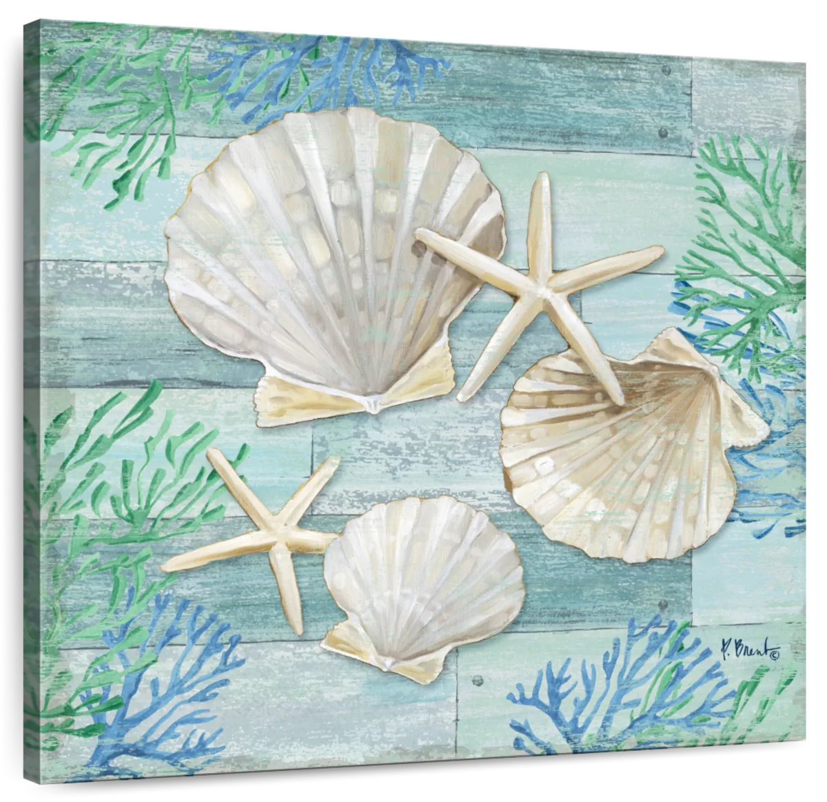 Breakwater Bay Aletra Clearwater Shells III | Wayfair