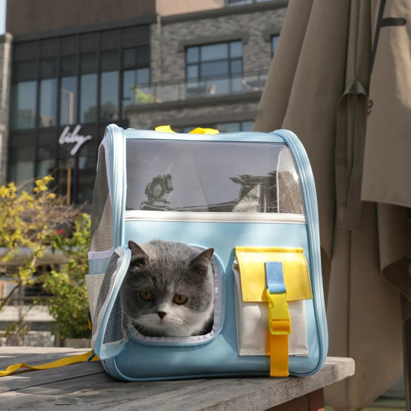 Tucker Murphy Pet™ Foldable Cat Backpack Carrier, Ventilated Mesh Dog Travel Backpack for Hiking ...