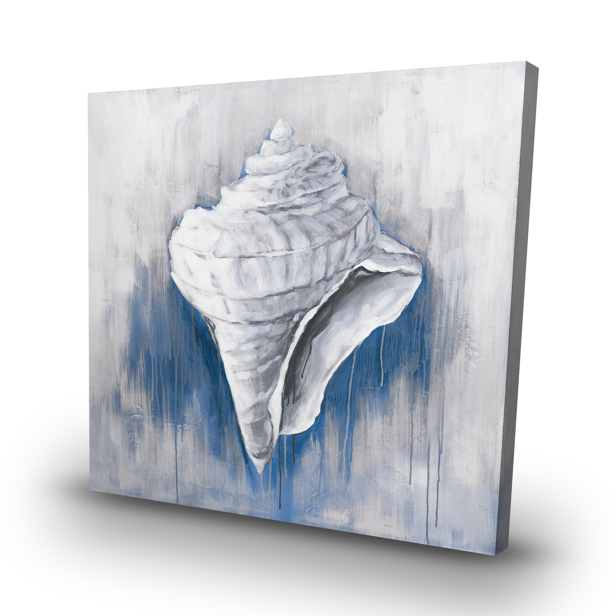 Begin Edition International Inc. conical shell - 32"x32" art on canvas ...