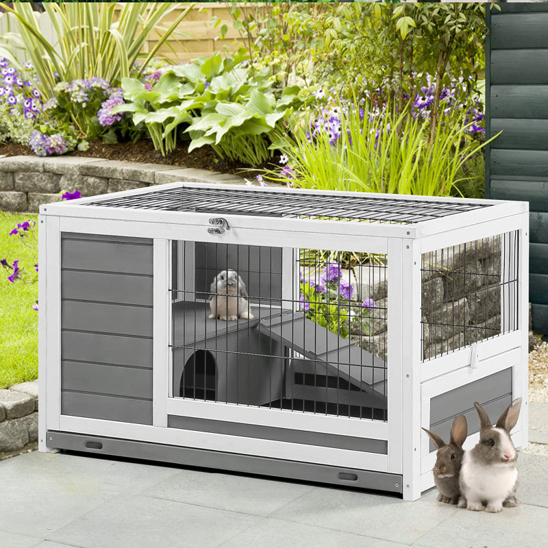 Tucker Murphy Pet™ Rabbit Hutch Pet House With Run Bunny House ...