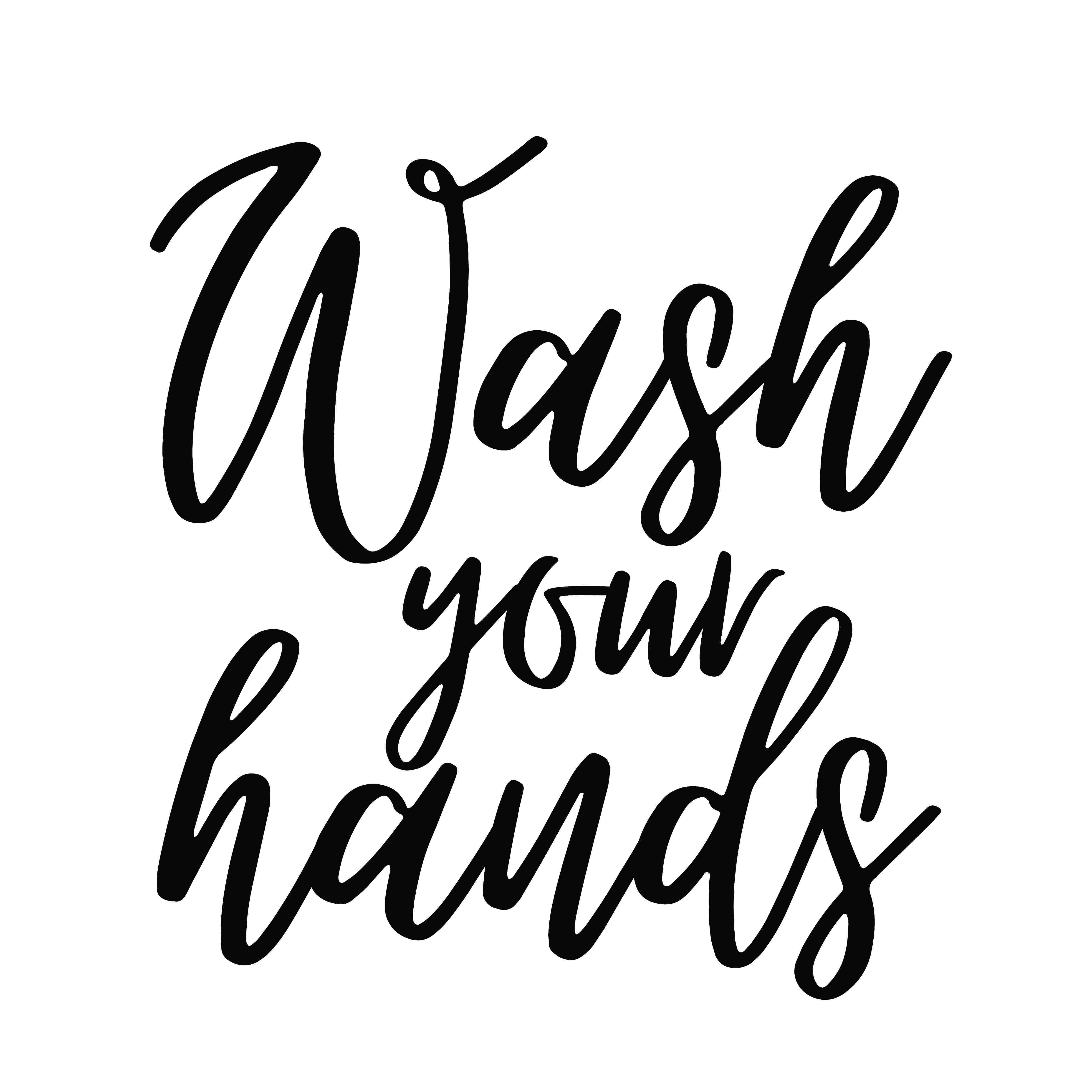 Trinx Wash Your Hands Script - Wayfair Canada