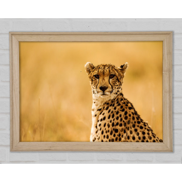 Ebern Designs Proud Cheetah - Single Picture Frame Art Prints | Wayfair ...