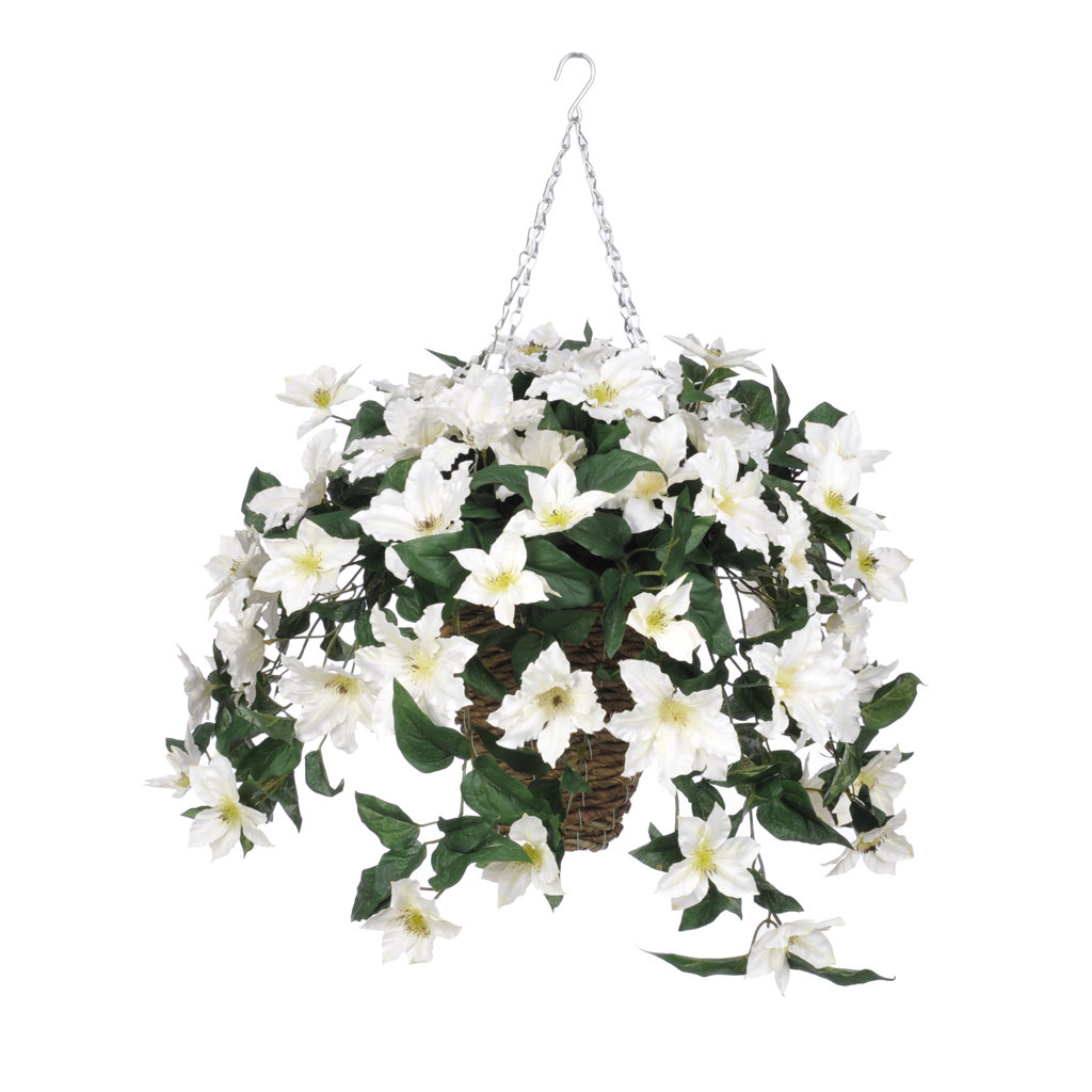 August Grove® Faux Clematis Trailing Flowering Plant in Basket | Wayfair