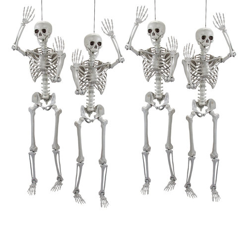 Skeleton | Wayfair